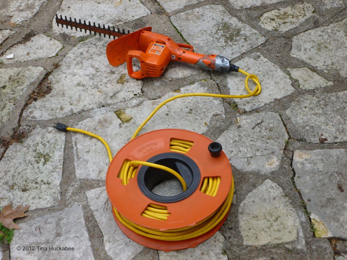 Pruning Turk’s Cap | My Gardener Says…