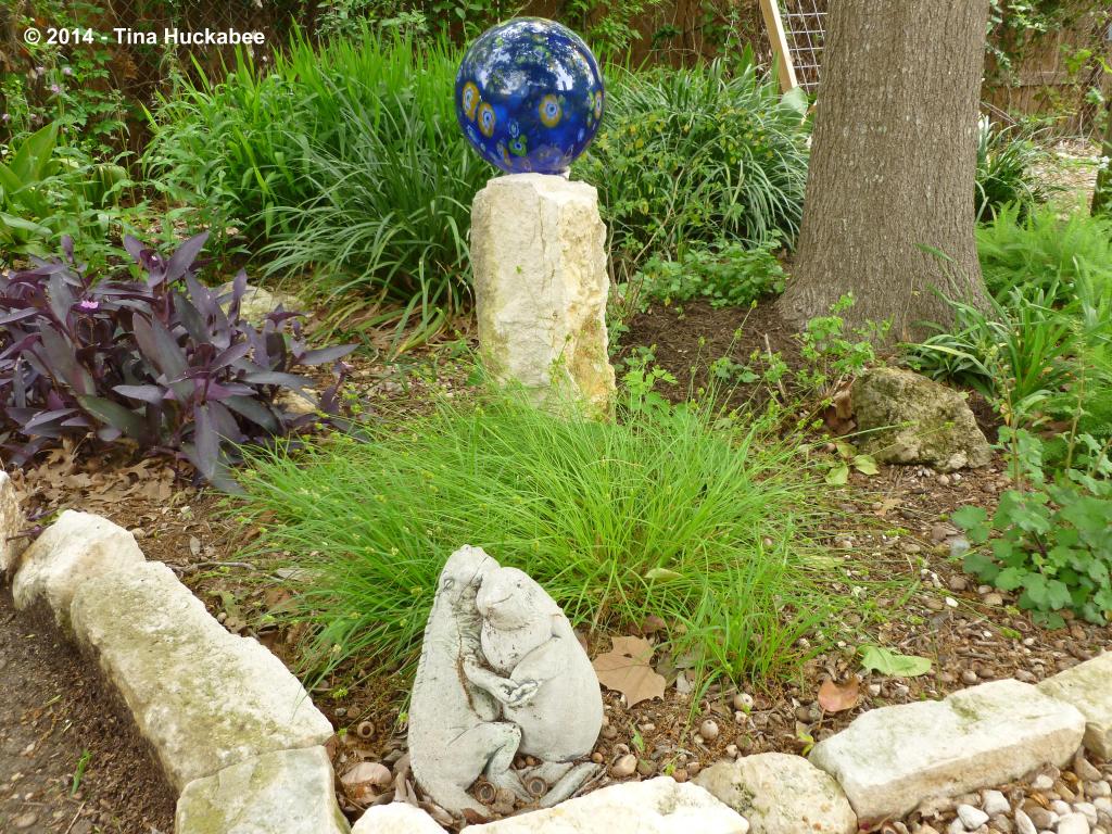 Berkeley sedge | My Gardener Says…