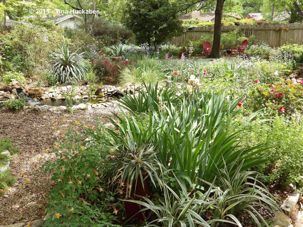 Spring Vignettes | My Gardener Says…