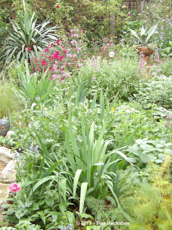 Spring Vignettes | My Gardener Says…
