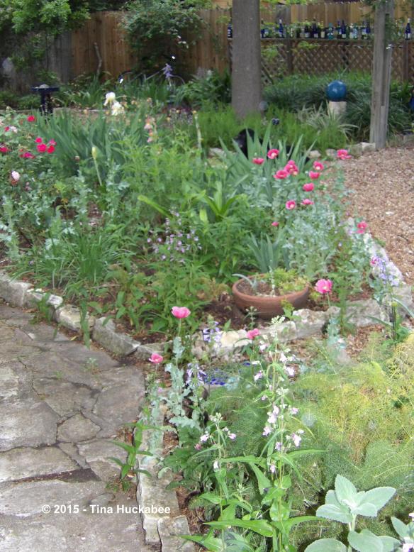 Spring Vignettes | My Gardener Says…