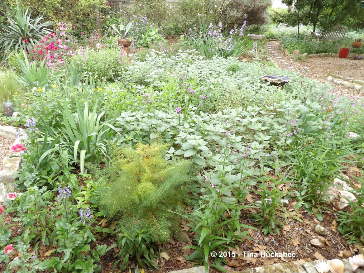 Spring Vignettes | My Gardener Says…