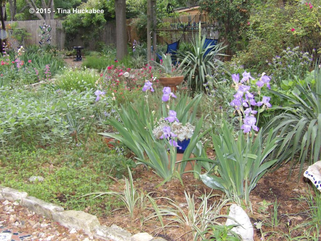 Spring Vignettes | My Gardener Says…