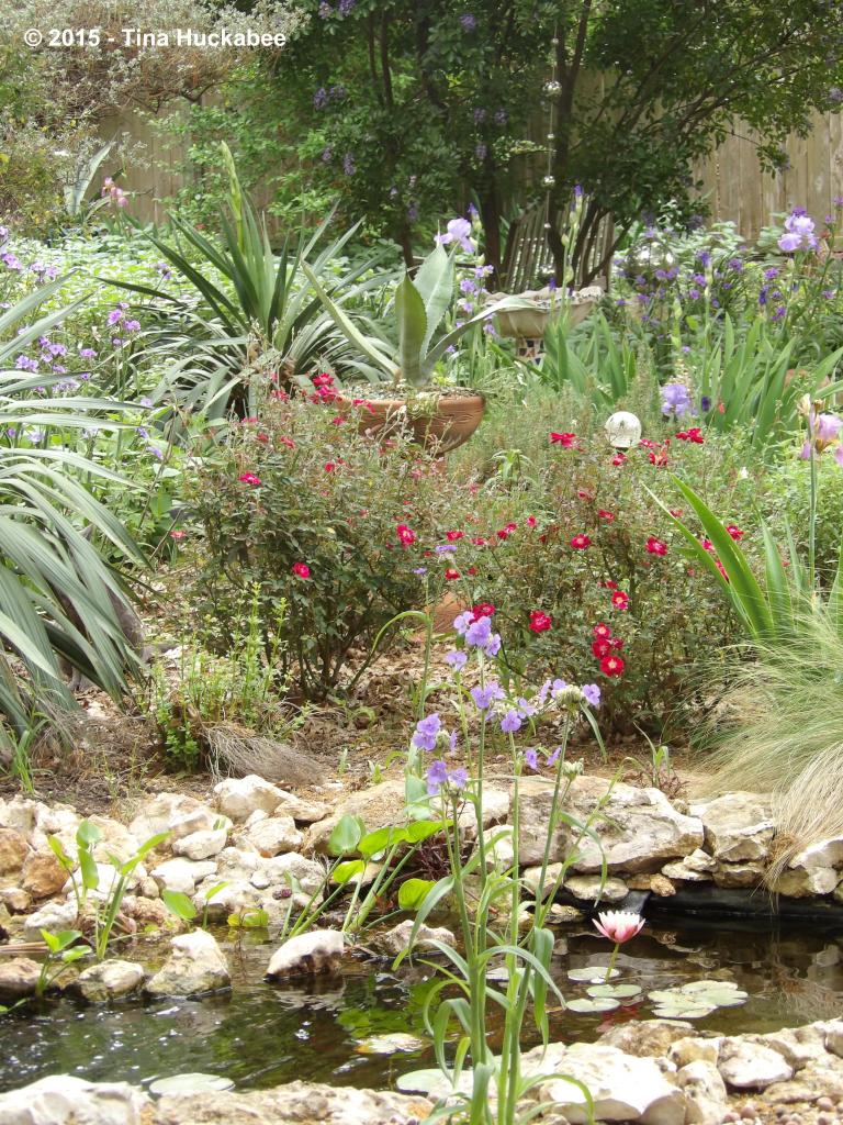 Spring Vignettes | My Gardener Says…