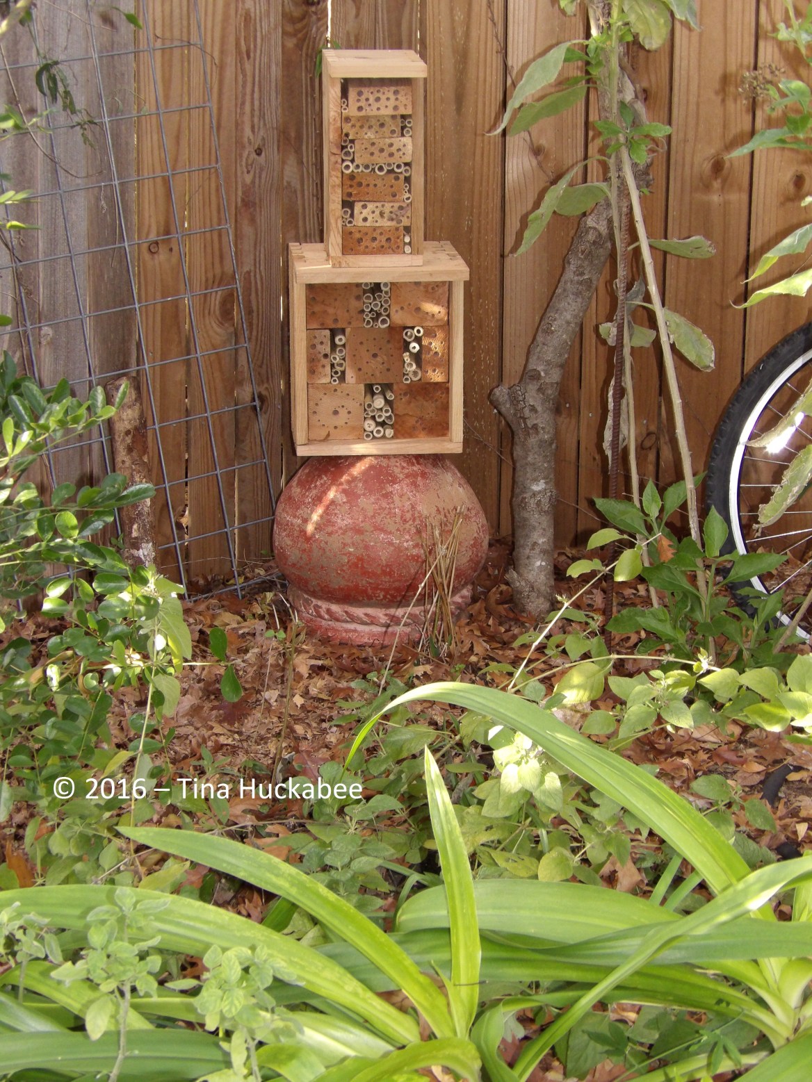 Wildlife Wednesday, February 2016: Bee House Buzz | My Gardener Says…